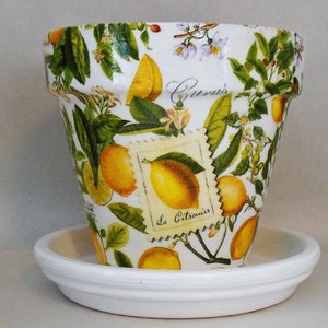 Handmade Decoupage Terra Cotta Indoor Flowerpot, Indoor Planter Lemons ...