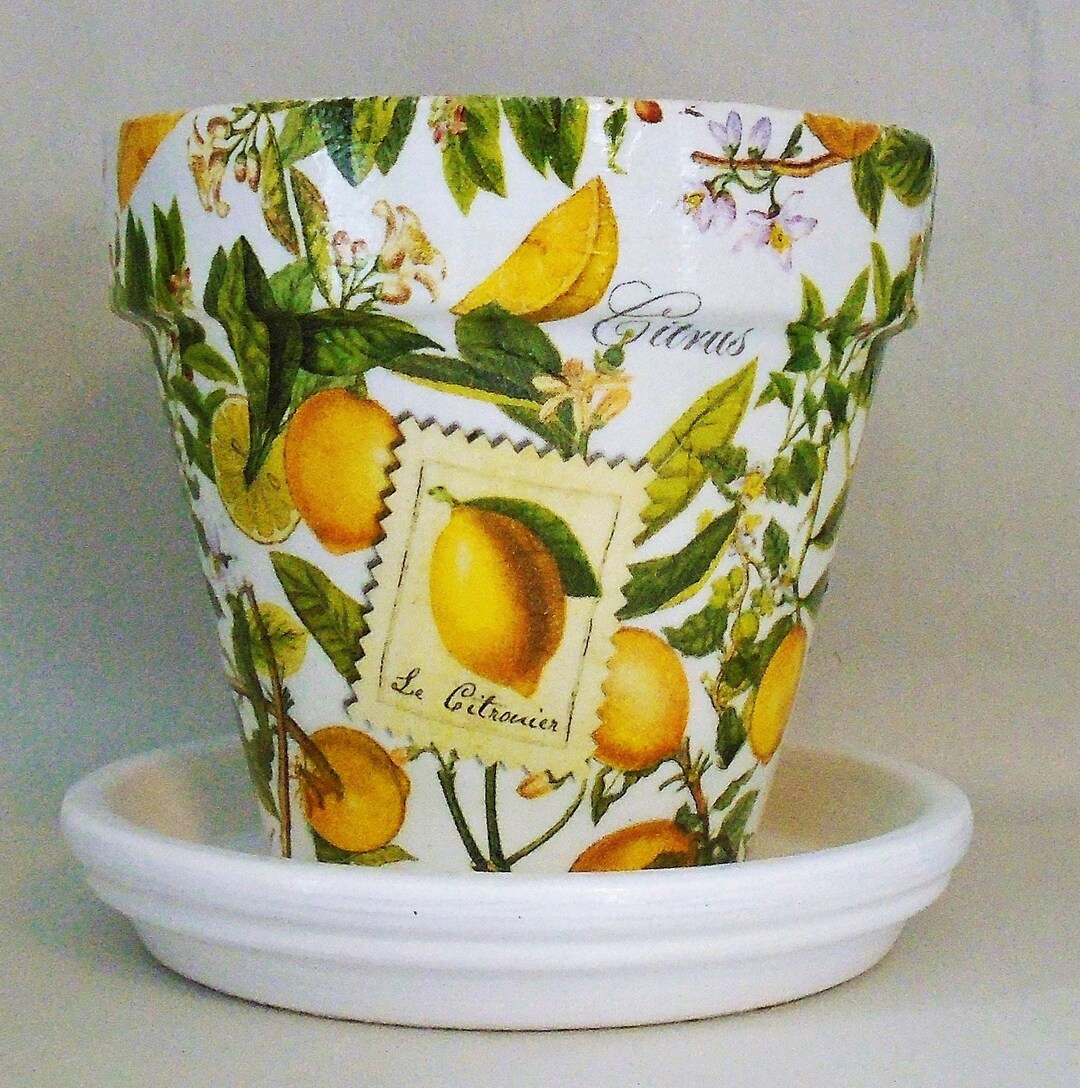 Handmade Decoupage Terra Cotta Indoor Flowerpot, Indoor Planter Lemons ...