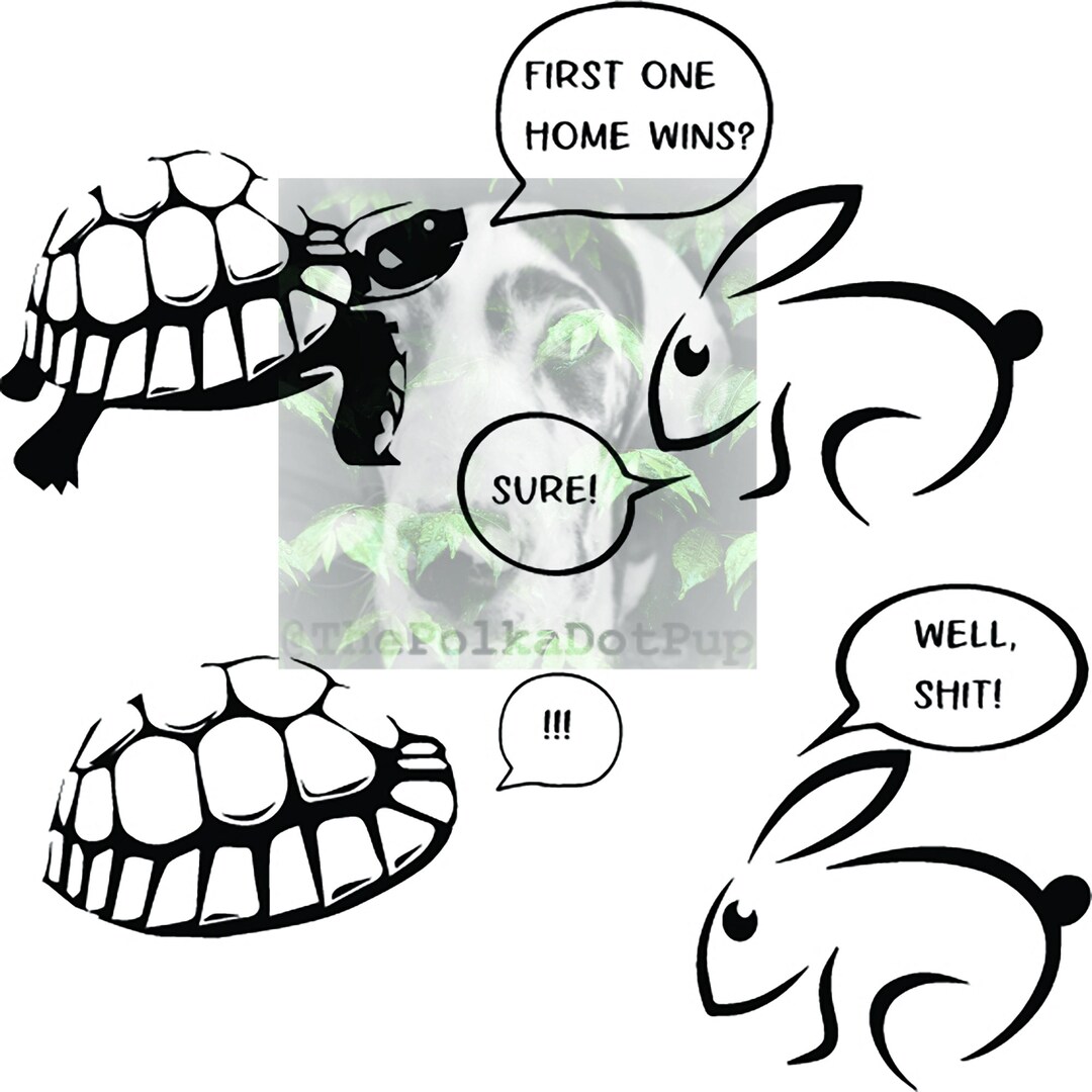 SVG first One Home Wins Tortoise and the Hare - Etsy