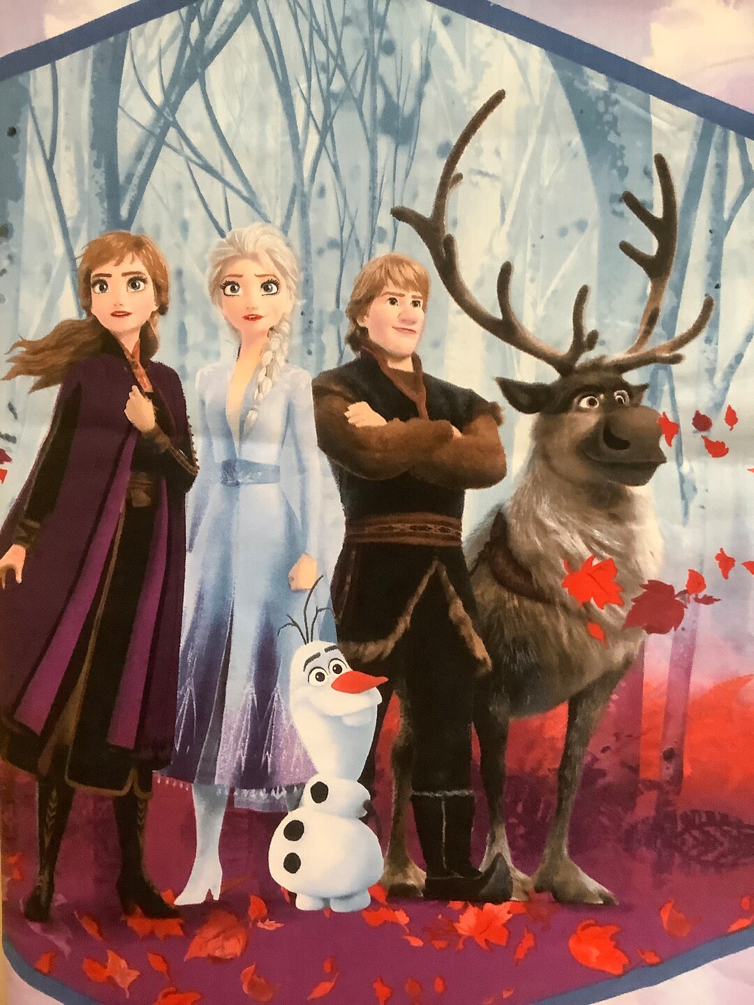 105-OOP Frozen Pillows Panel. Makes Two Pillows - Etsy