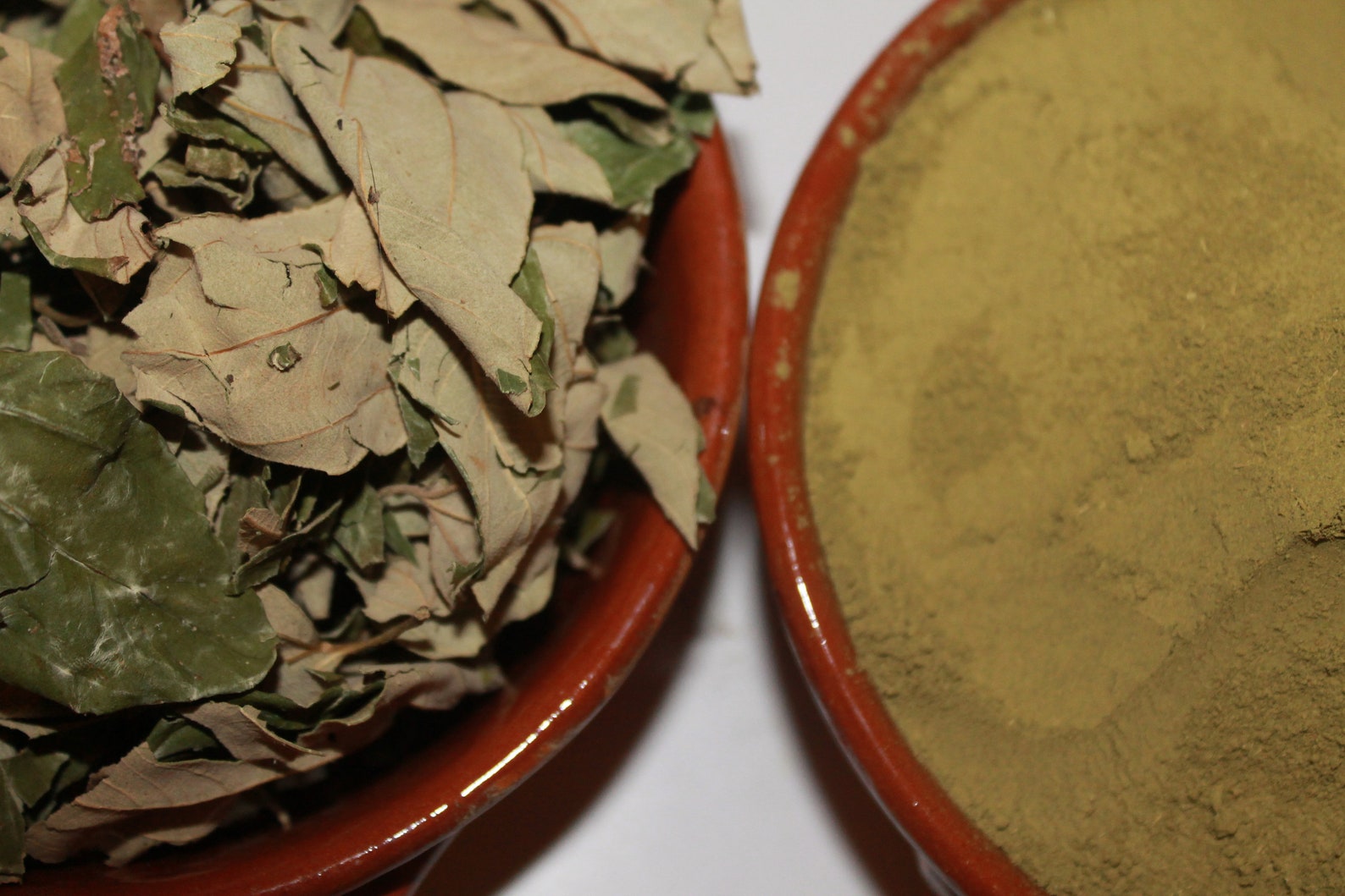 Pure Yemeni Sidr Powder (lote Tree), 100g Zizyphus Spina-christi - Etsy