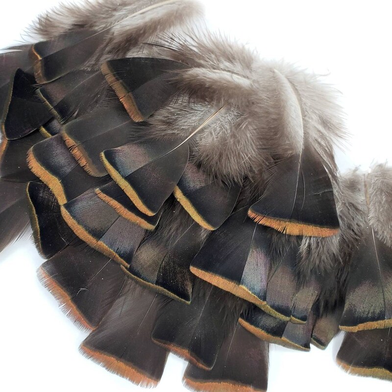 Craft Feathers - Etsy