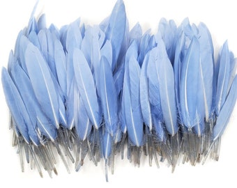 Light Blue Feathers | Etsy