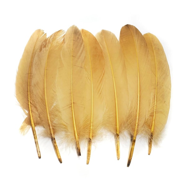 Tan Feathers - Etsy