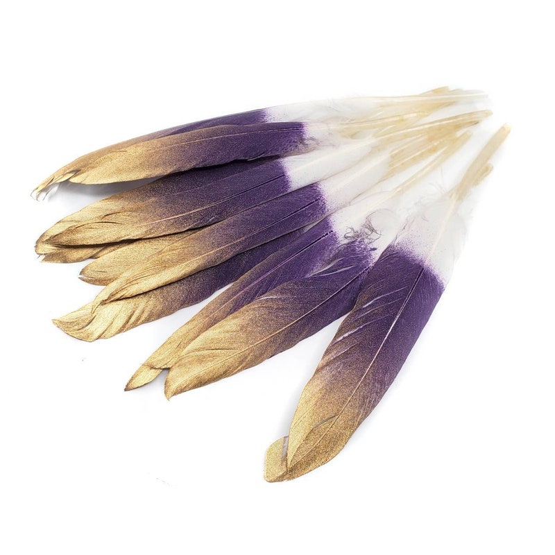 Purple Feathers - Etsy