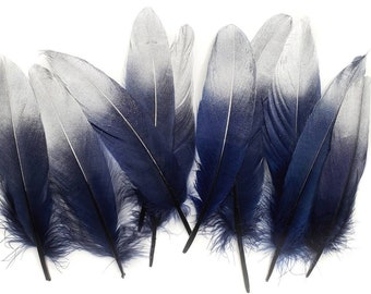 Navy Blue Feathers - Etsy