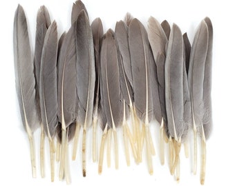 4-6 GOLD Gilded Goose Pointer Feathers 12 Pieces for - Etsy
