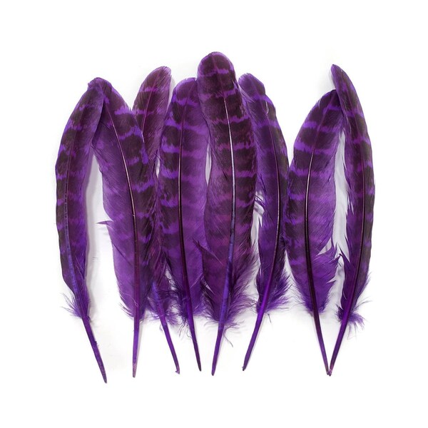 Purple Feathers - Etsy
