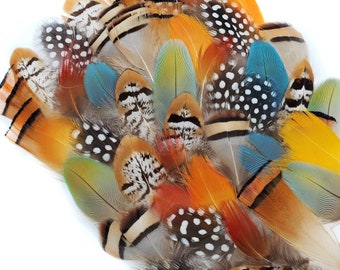 Rare Bird Feathers - Etsy