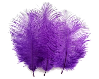 Purple Ostrich - Etsy