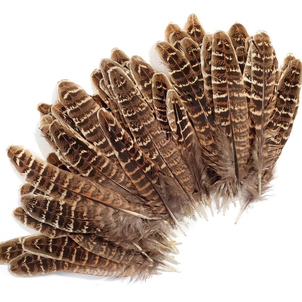 Brown Feathers - Etsy