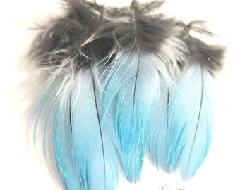 Blue feathers | Etsy