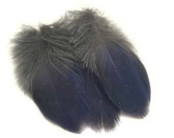 Blue feathers | Etsy