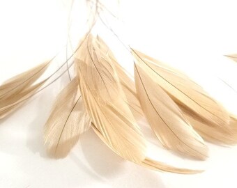 Feather strip | Etsy