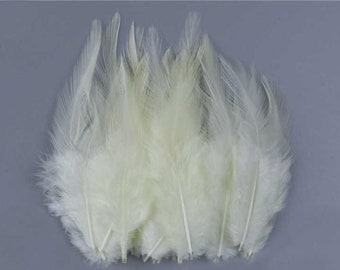 Cream Feathers | Etsy