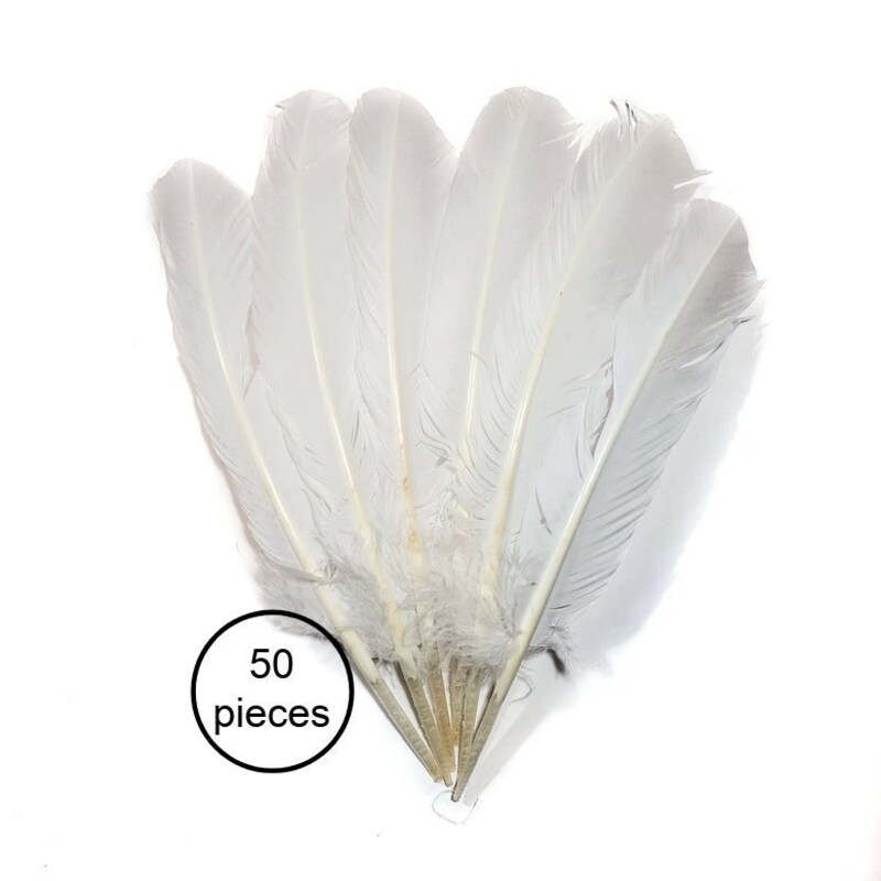 Turkey Wing Feathers - Etsy
