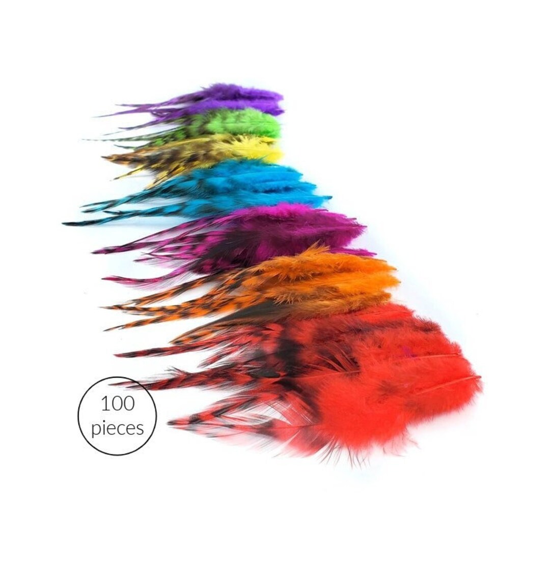 Assorted Rooster Feathers, 100 Pieces, 3-5" Inches - Etsy