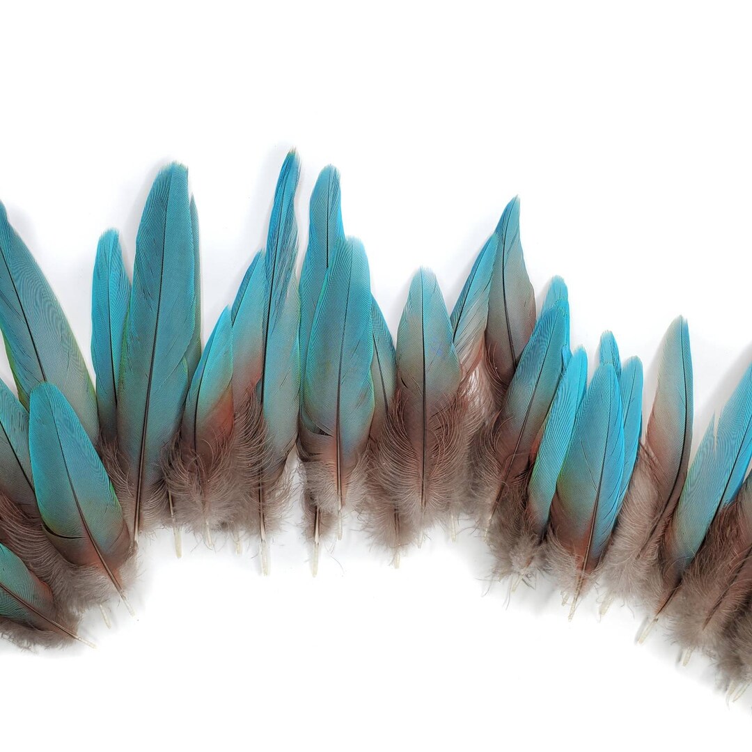 Cruelty Free, 7 Pieces, 3-7.5 Inches, Blue Vent Feathers, Fall ...