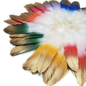 Extended Shipping Gold Tip Brown Goose Feathers, 10 Pieces, 6-8 Inches ...