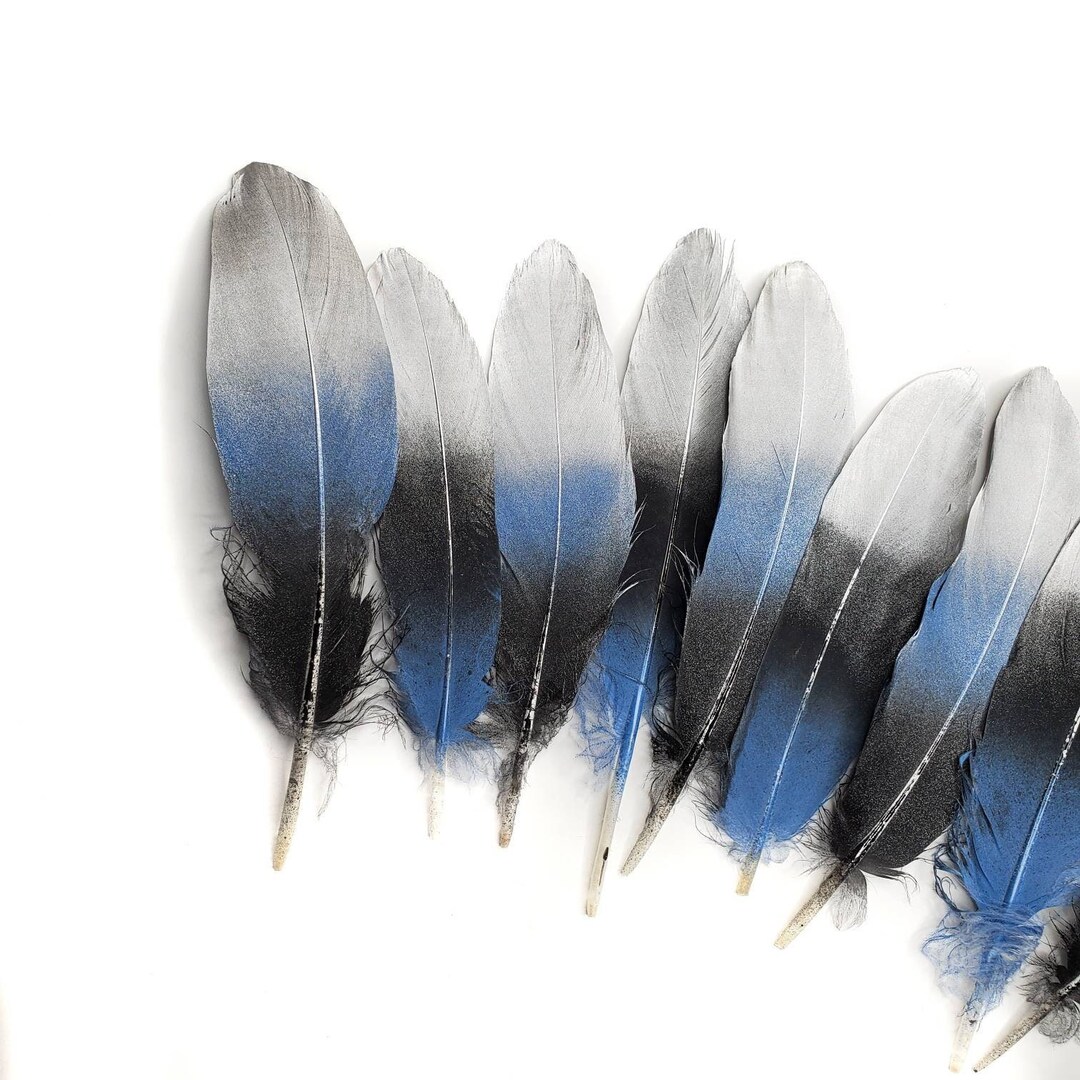 Black, Silver, Pale Blue Goose Feathers, 10 Pieces, 5-8" Inches - Etsy