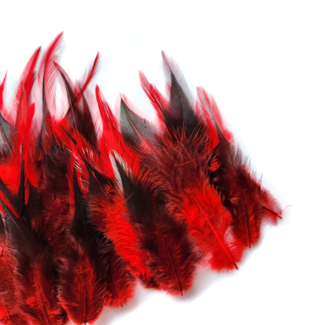 Red Rooster Feathers, 10 Pieces, 3-5" Inches - Etsy