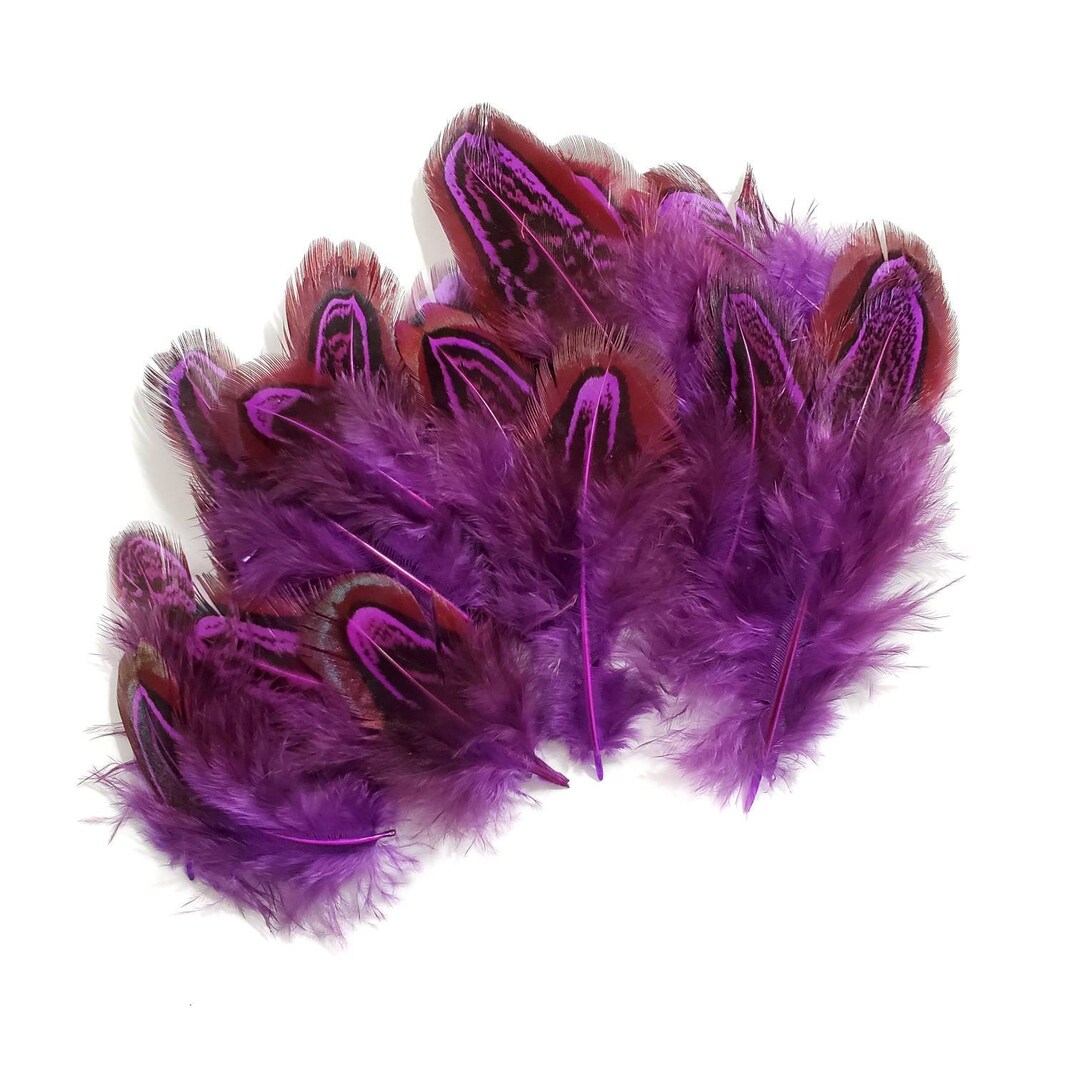 Buy 10 Pcs Purple Pheasant Feathers 1-3 Dyed Small Loose Body Feathers ...