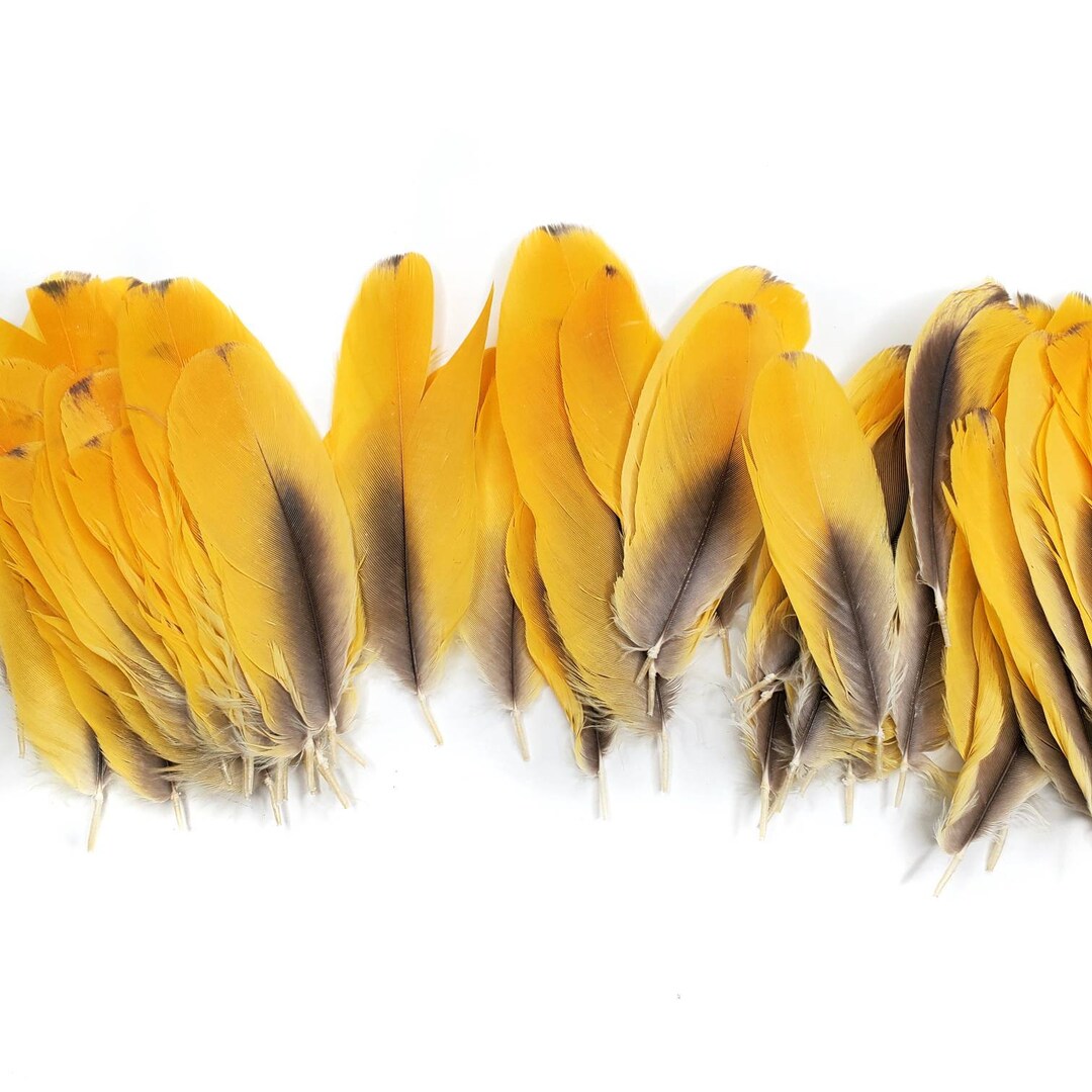 Cruelty Free, 5 Pieces, 2.5-3 Inches, Yellow Flat Feathers - Etsy