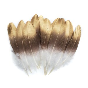 Extended Shipping Gold Tip Brown Goose Feathers, 10 Pieces, 6-8 Inches ...