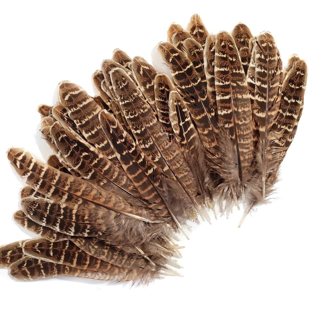 10 Pcs Pheasant Wing Feathers 4-6" Natural Brown Loose Body Feathers - Etsy