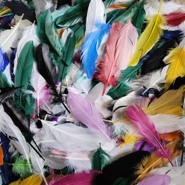 Craft Feathers - Etsy