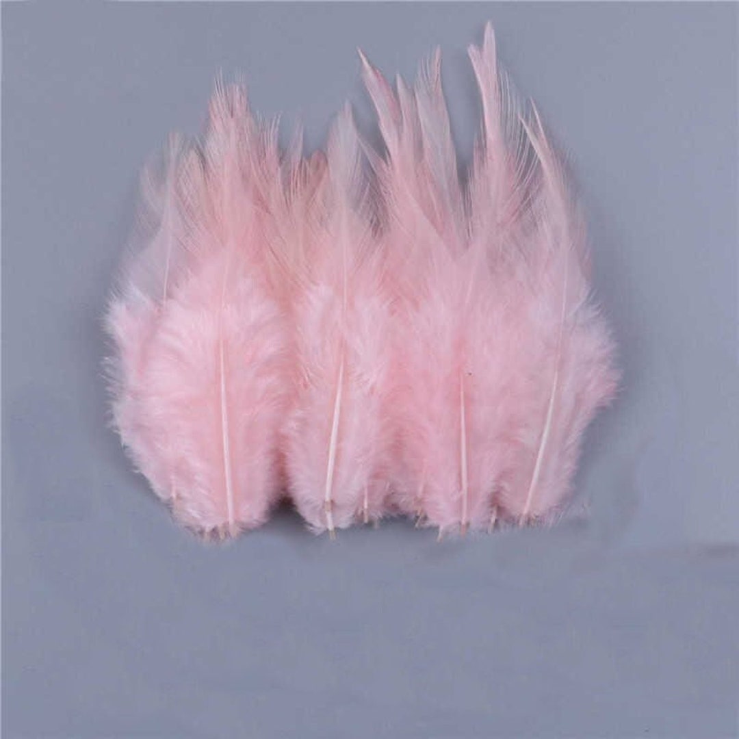 Light Pink Rooster Feathers, 10 Pieces, 3-5" Inches - Etsy
