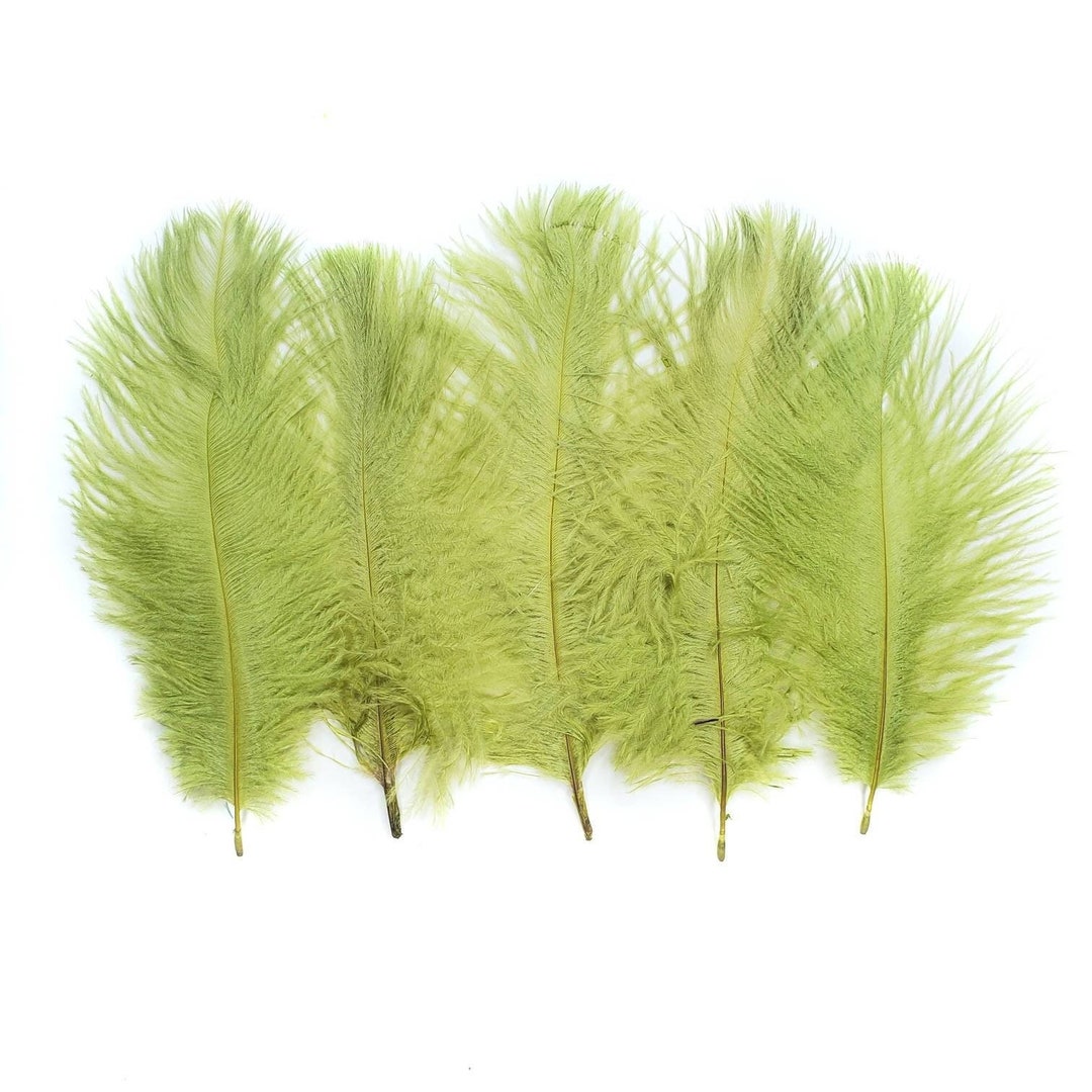 10 Pcs Olive Green Ostrich Feathers 6-8" Dyed Wholesale Wedding Craft ...