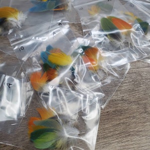 Cruelty Free, 10 Pieces, 1-2.5 Inches, ASSORTED Feathers - Etsy