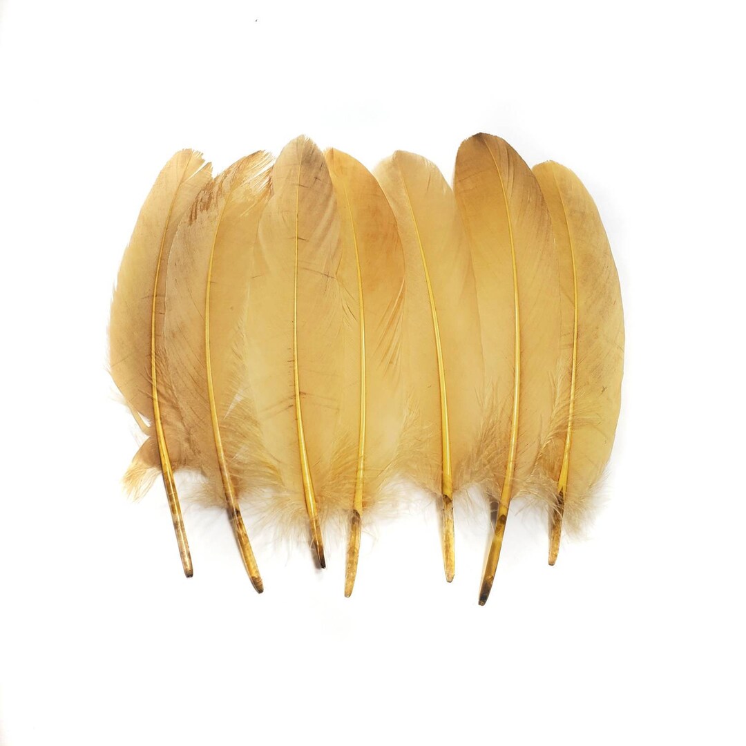 10 Pcs Khaki Tan Goose Feathers 5-9" Wholesale Quill Satinettes Loose ...