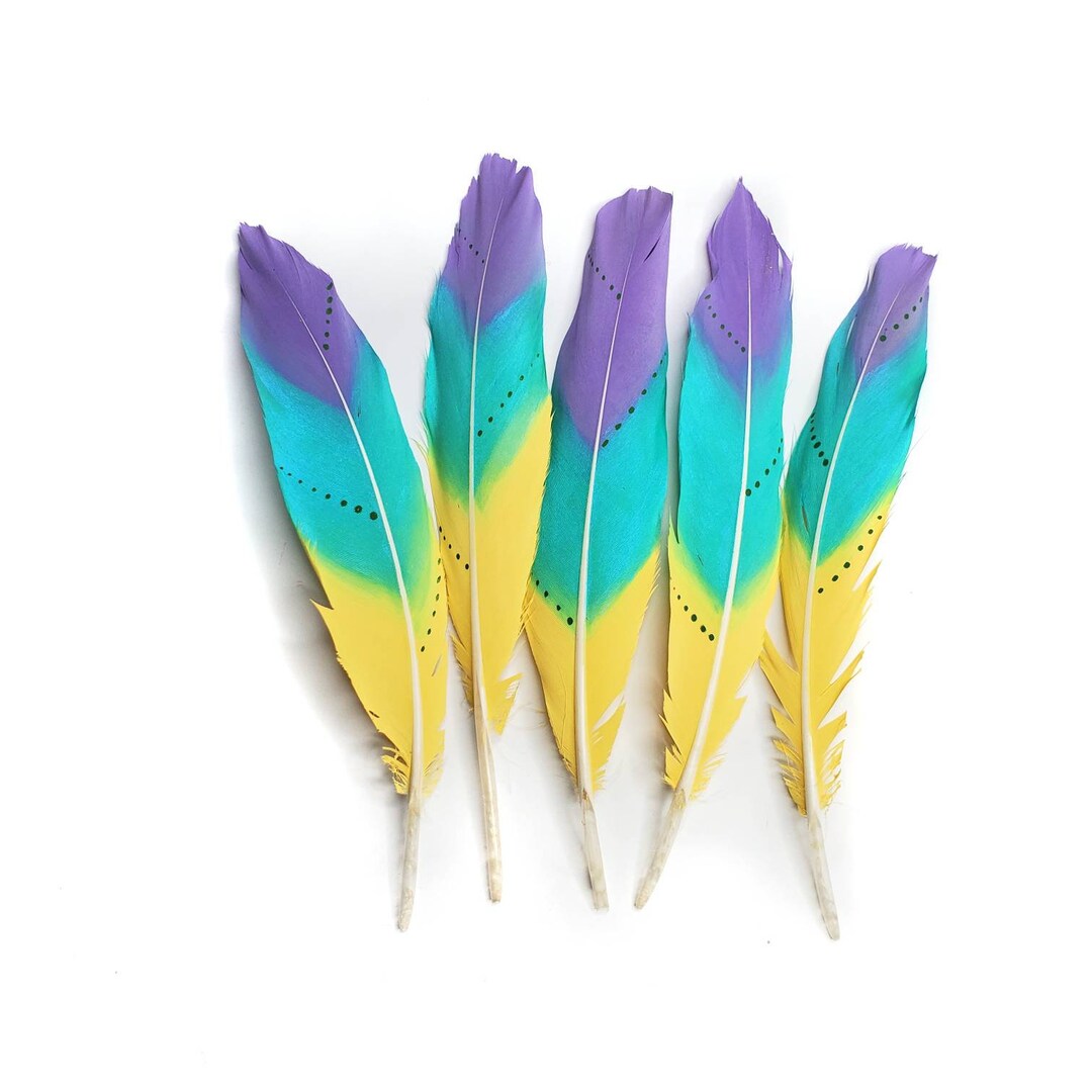 Hand Painted Feathers, 5 Pieces, 7-7.5 Inches - Etsy
