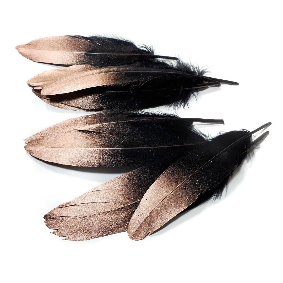 Diamond Gold Tip Black Goose Feathers, 10 Pieces, 6-8" Inches - Etsy