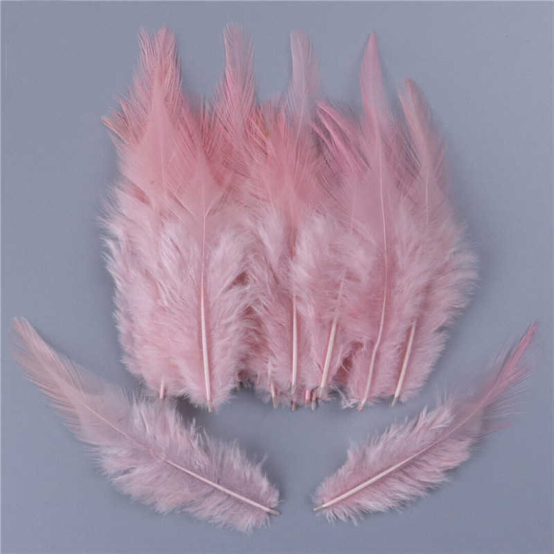 Pale Pink Rooster Feathers, 10 Pieces, 3-5" Inches - Etsy