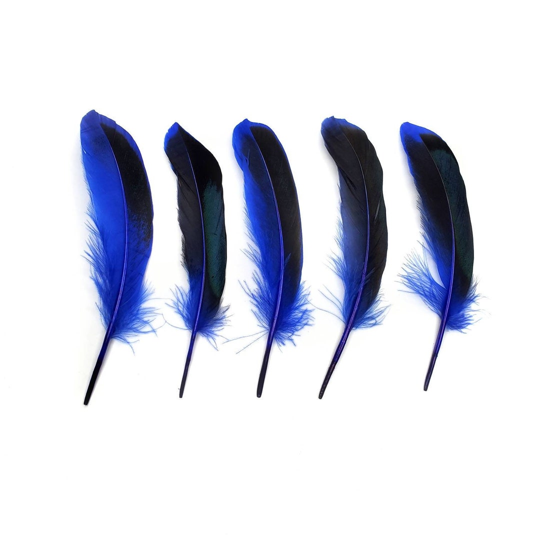 10 Pcs Dark Blue Duck Feathers 4-6" Dyed Duck Loose Wholesale Cochettes ...