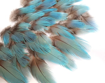 Turquoise Feathers | Etsy