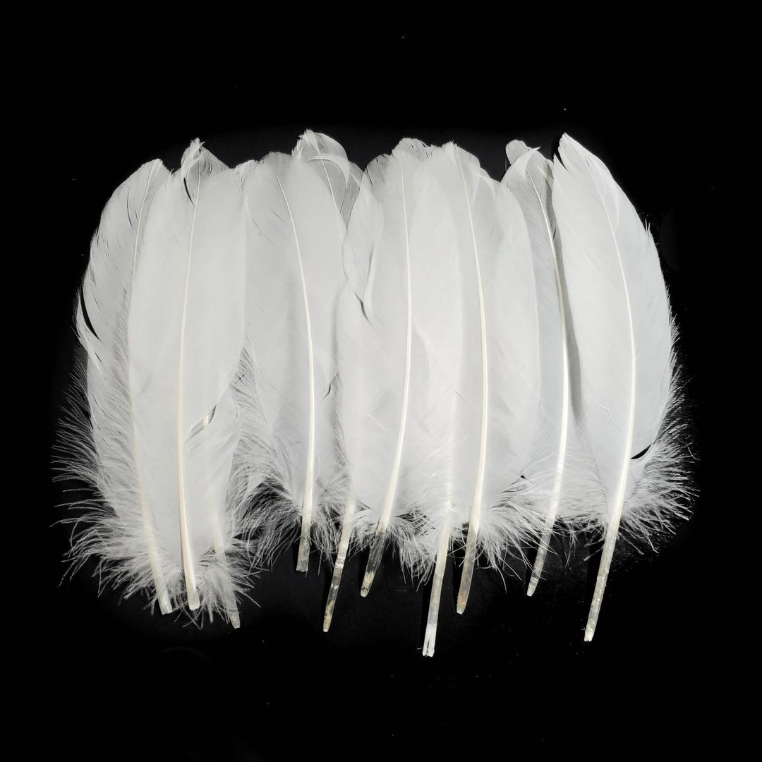 10 Pcs White Goose Feathers 5-9" Wholesale Quill Satinettes Loose Goose ...