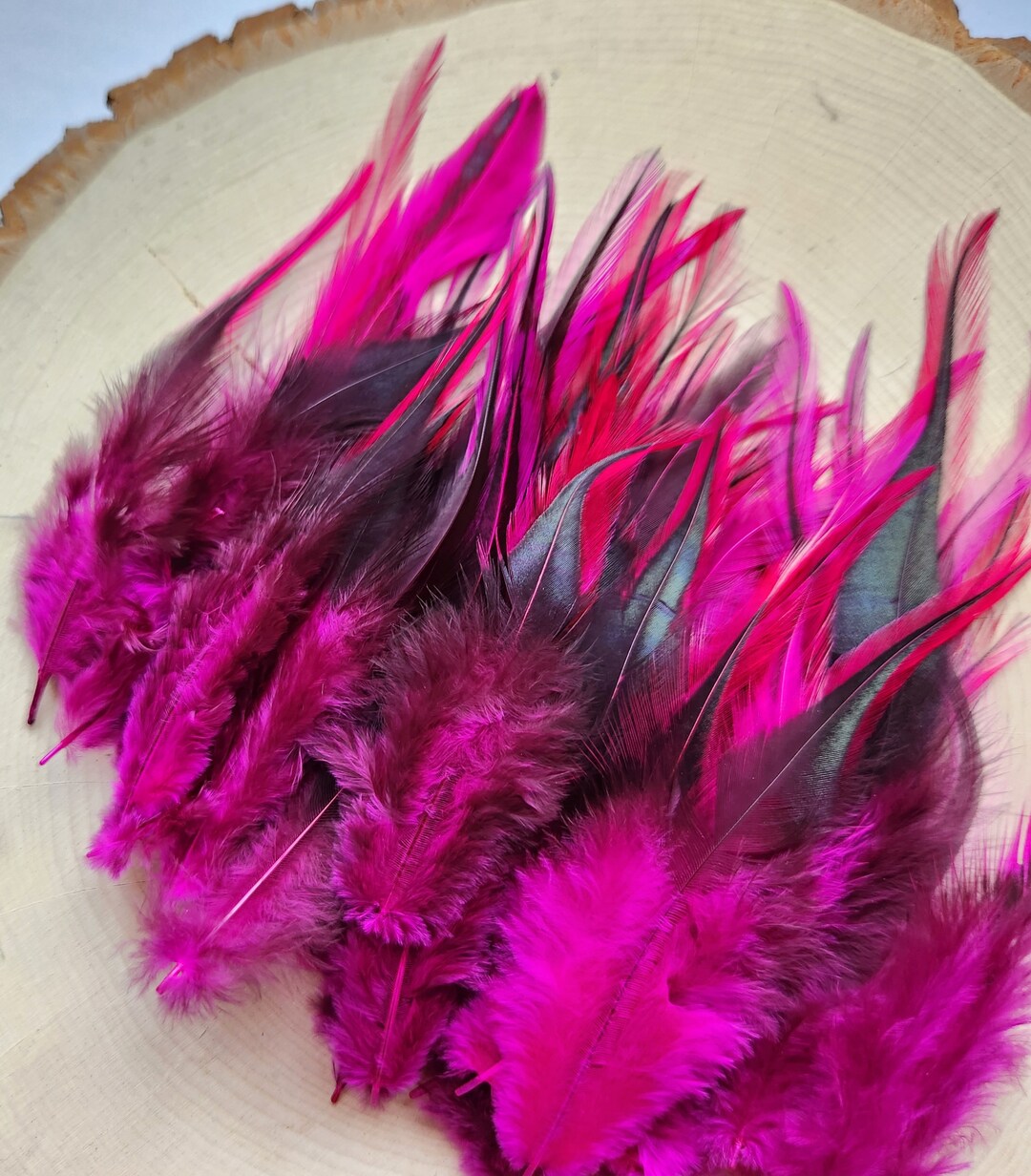Hot Pink Rooster Feathers, 10 Pieces, 3-5" Inches - Etsy