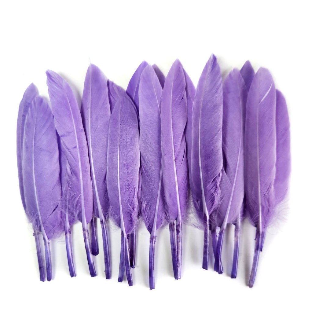 10 Pcs Light Purple Duck Feathers 4-6" Dyed Duck Loose Wholesale ...