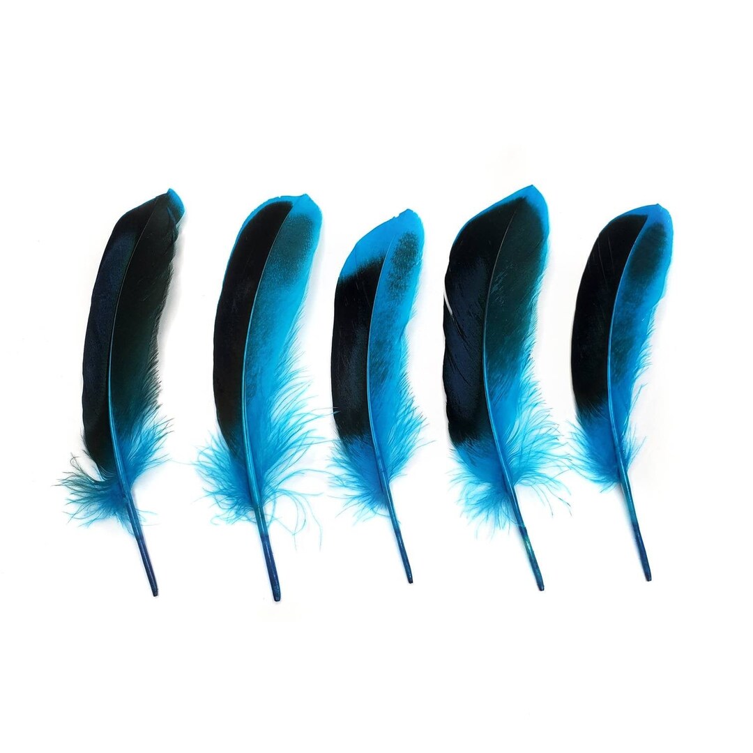 Extended Shipping Timeframe10 Pcs Light Blue Duck Feathers 4-6 Dyed ...