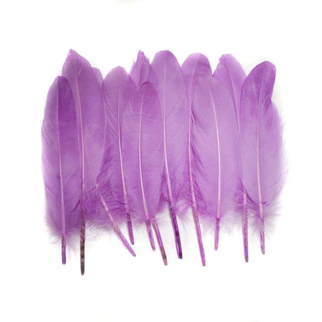 10 Pcs Light Purple Goose Feathers 5-9" Wholesale Quill Satinettes ...