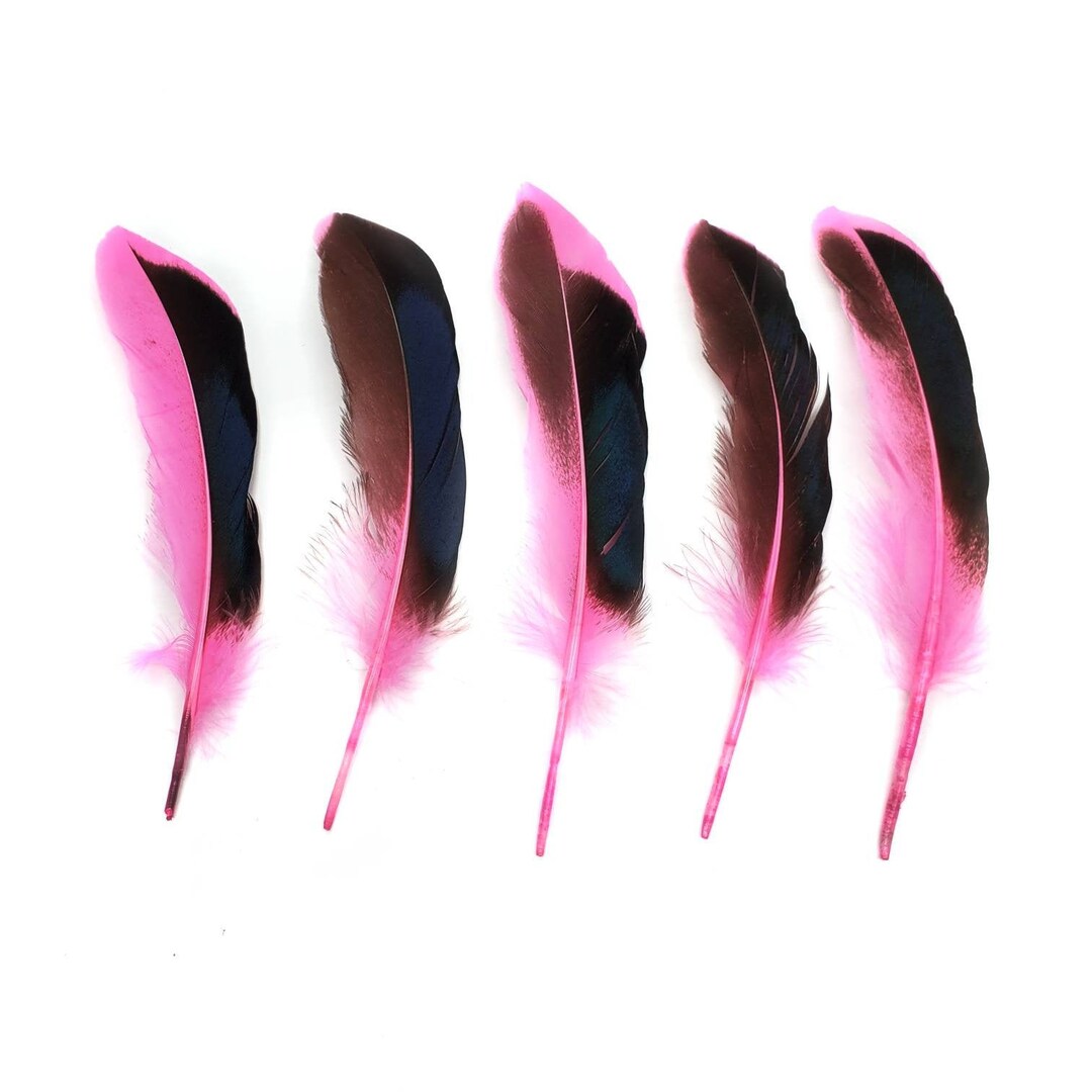 10 Pcs Light Pink Duck Feathers 4-6" Dyed Duck Loose Wholesale ...
