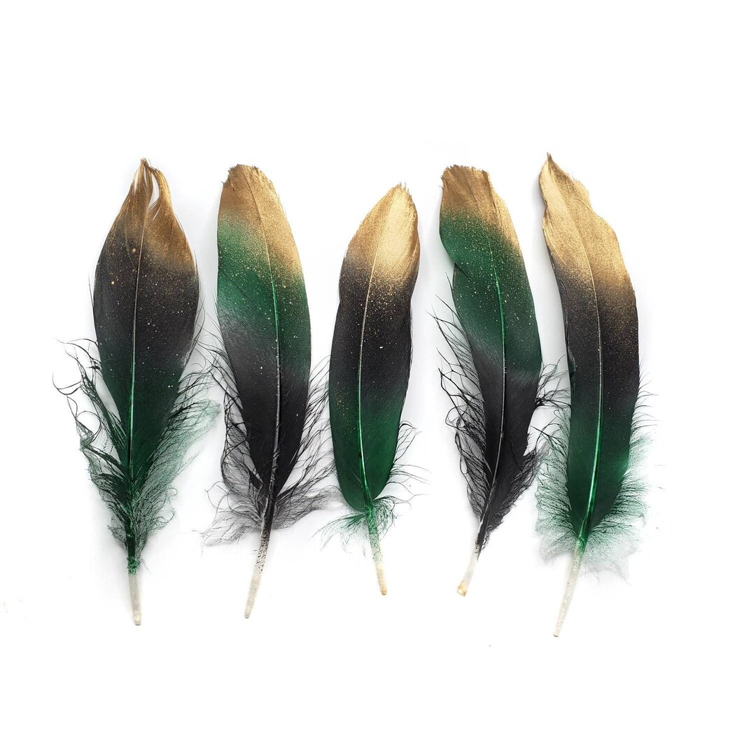 Black and Green Goose Feathers, 5 Pieces, 5-8" Inches - Etsy