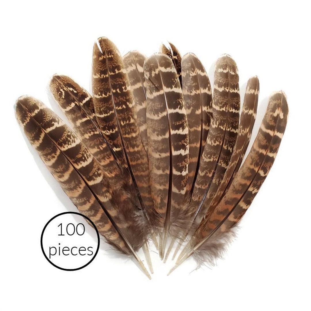 100 Pcs BULK Pheasant Feathers 4-6 Natural Wing Tail Feathers - Etsy