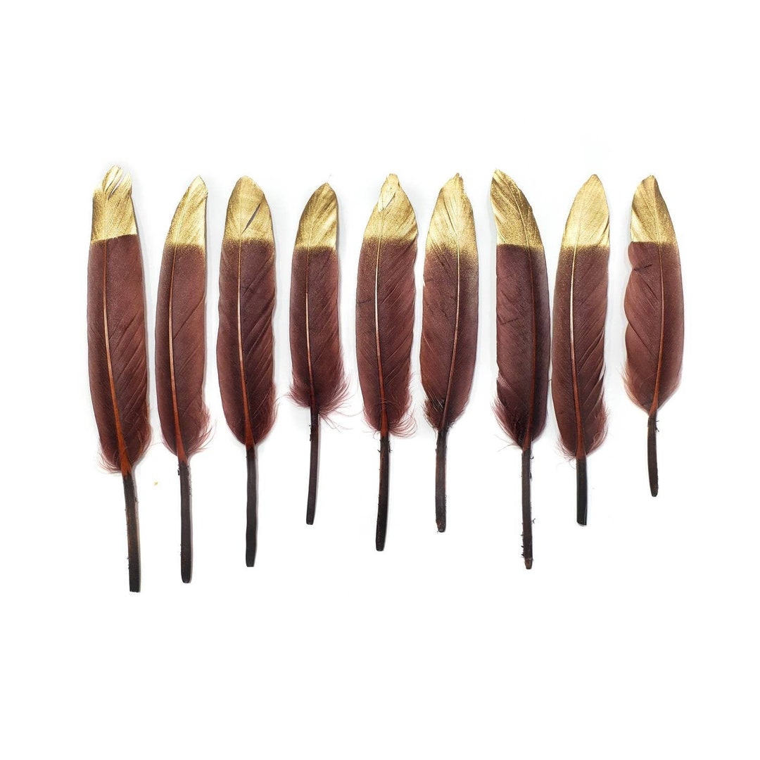 Gold Tip Brown Goose Feathers, 10 Pieces, 4-6" Inches - Etsy