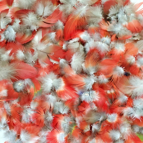 Red Feathers - Etsy