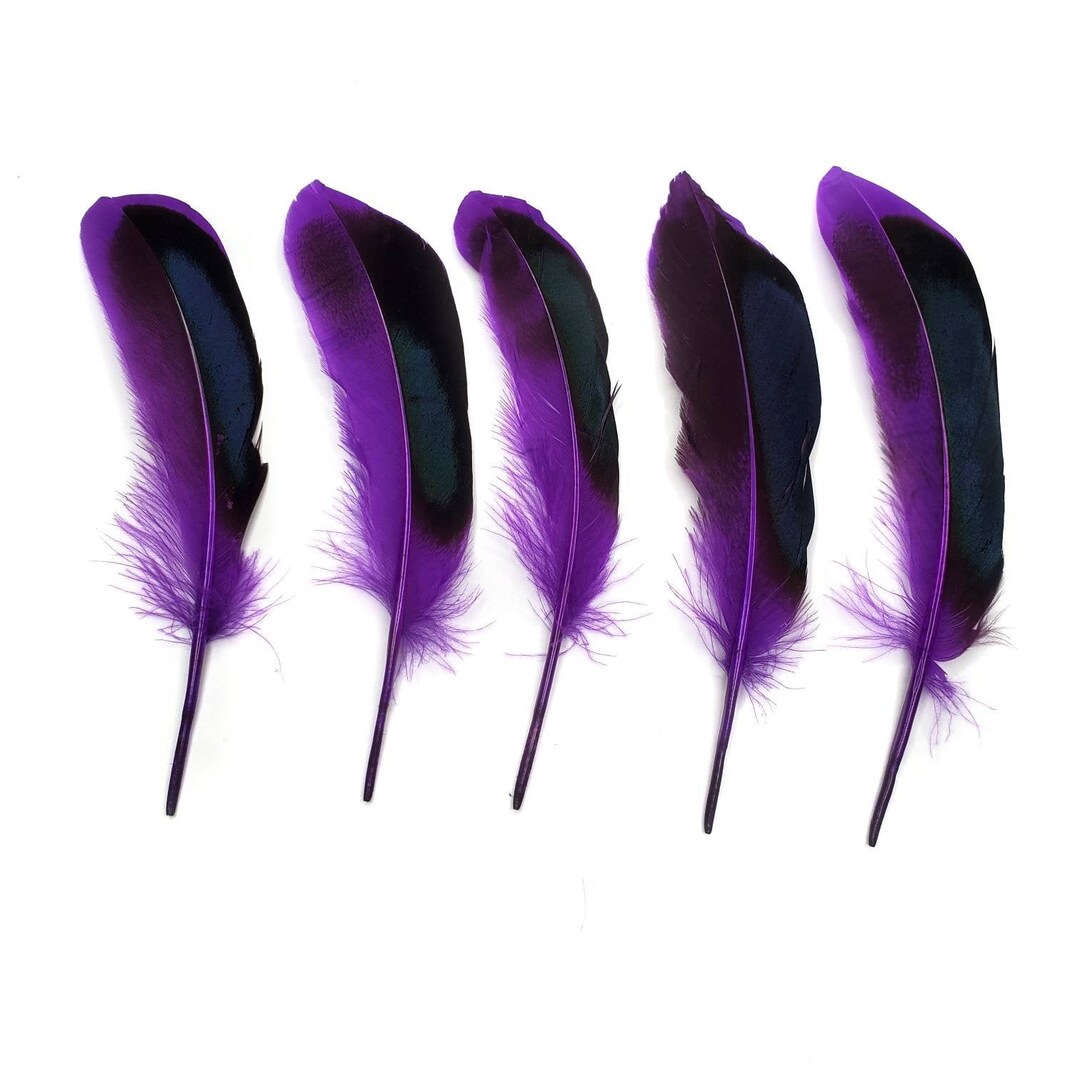 10 Pcs Purple Duck Feathers 4-6 Dyed Duck Loose - Etsy
